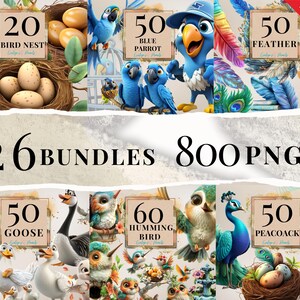 Bird Mega Bundle Clipart 800 PNG Bird Breed, Floral Bird Sparrow ...