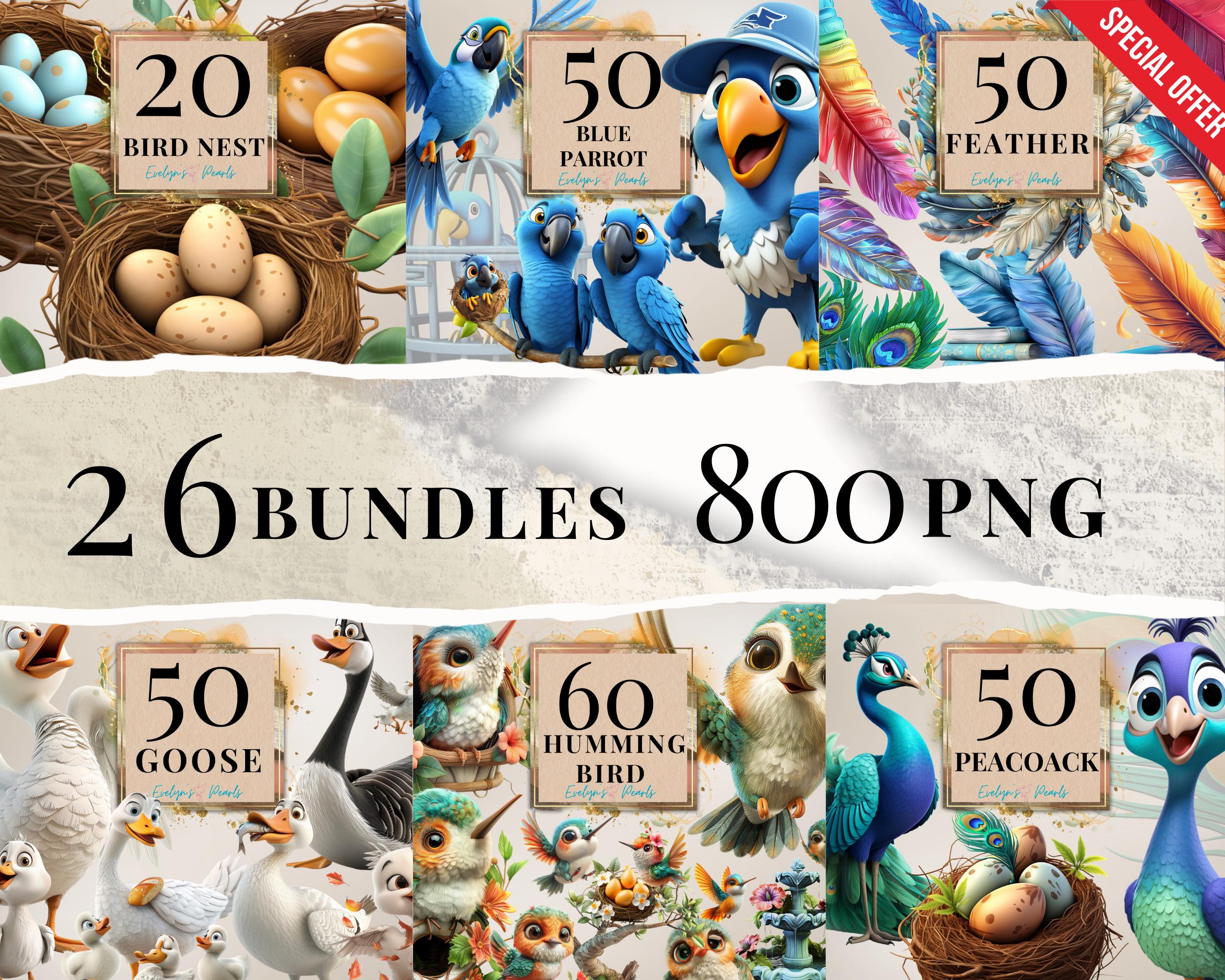 Bird Mega Bundle Clipart 800 PNG Bird Breed, Floral Bird Sparrow ...