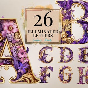 Illuminated Letters Mega Bundle Clipart 104 Floral Letters PNG Fancy ...
