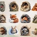 Winter Animals Clipart Hibernating Animal PNG Sleeping Animal Clipart ...