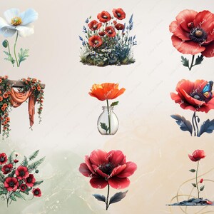Poppy Clipart Poppy Flower PNG Spring Clipart Floral Clipart Seasonal ...