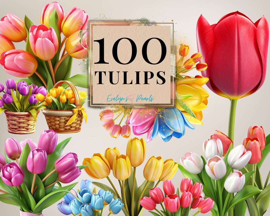 Flower Clipart Tulip Flower PNG Spring Clipart Summer Floral Clipart ...