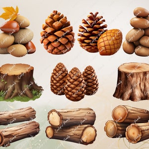 Autumn Leaves Clipart Bundle Fall Clipart Thanksgiving Decor PNG ...