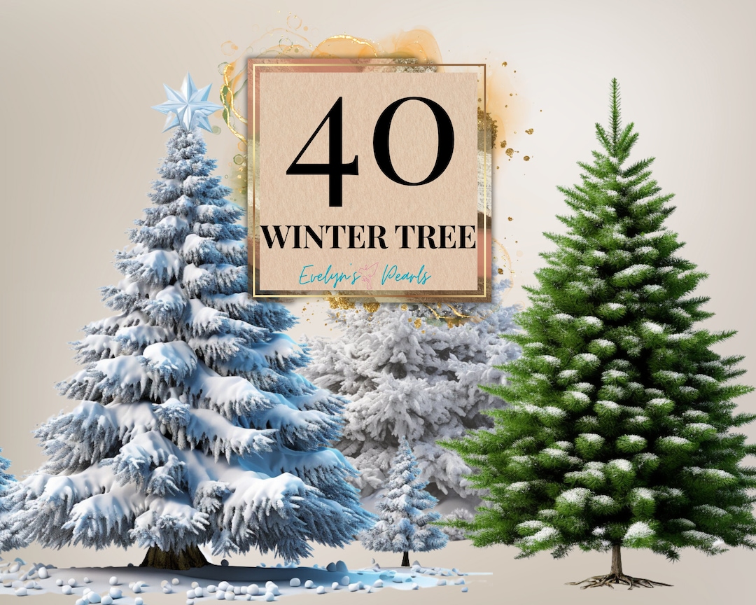 Winter Tree Clipart Snow Covered Tree Clipart Winter Forest Clipart ...