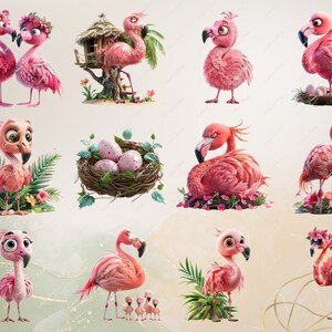 Flamingo Clipart Cute Flamingo PNG Bird Clipart Cute Animal PNG Cartoon ...