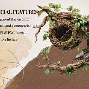 Vogel Clipart Spatz PNG Wald Vogel Clipart süsses Tier Cartoon Clipart ...