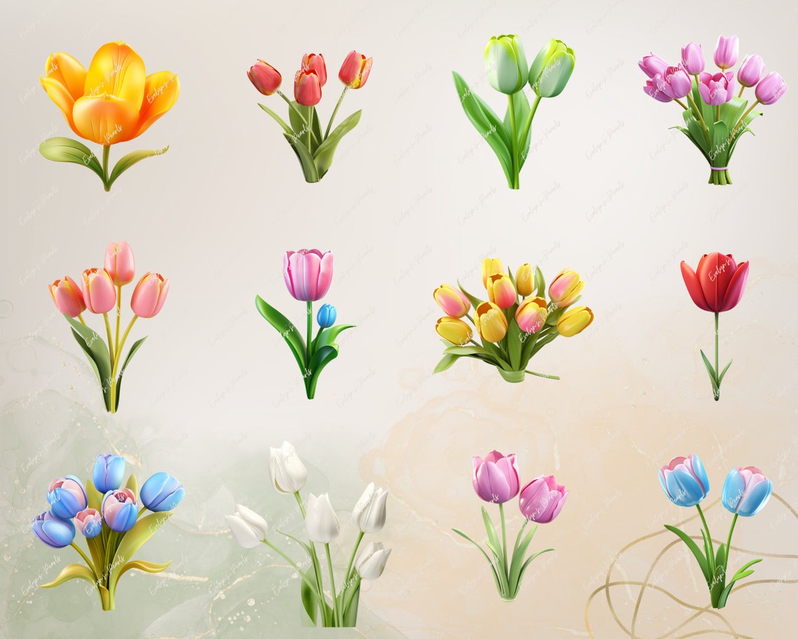 Flower Clipart Tulip Flower PNG Spring Clipart Summer Floral Clipart ...