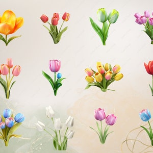 Flower Clipart Tulip Flower PNG Spring Clipart Summer Floral Clipart ...