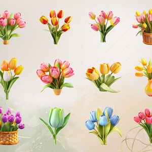 Flower Clipart Tulip Flower PNG Spring Clipart Summer Floral Clipart ...