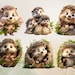 Hedgehog Clipart Cute Hedgehog PNG Woodland Animal Clipart Forest ...