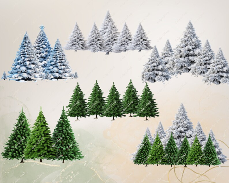 Winter Tree Clipart Snow Covered Tree Clipart Winter Forest Clipart ...