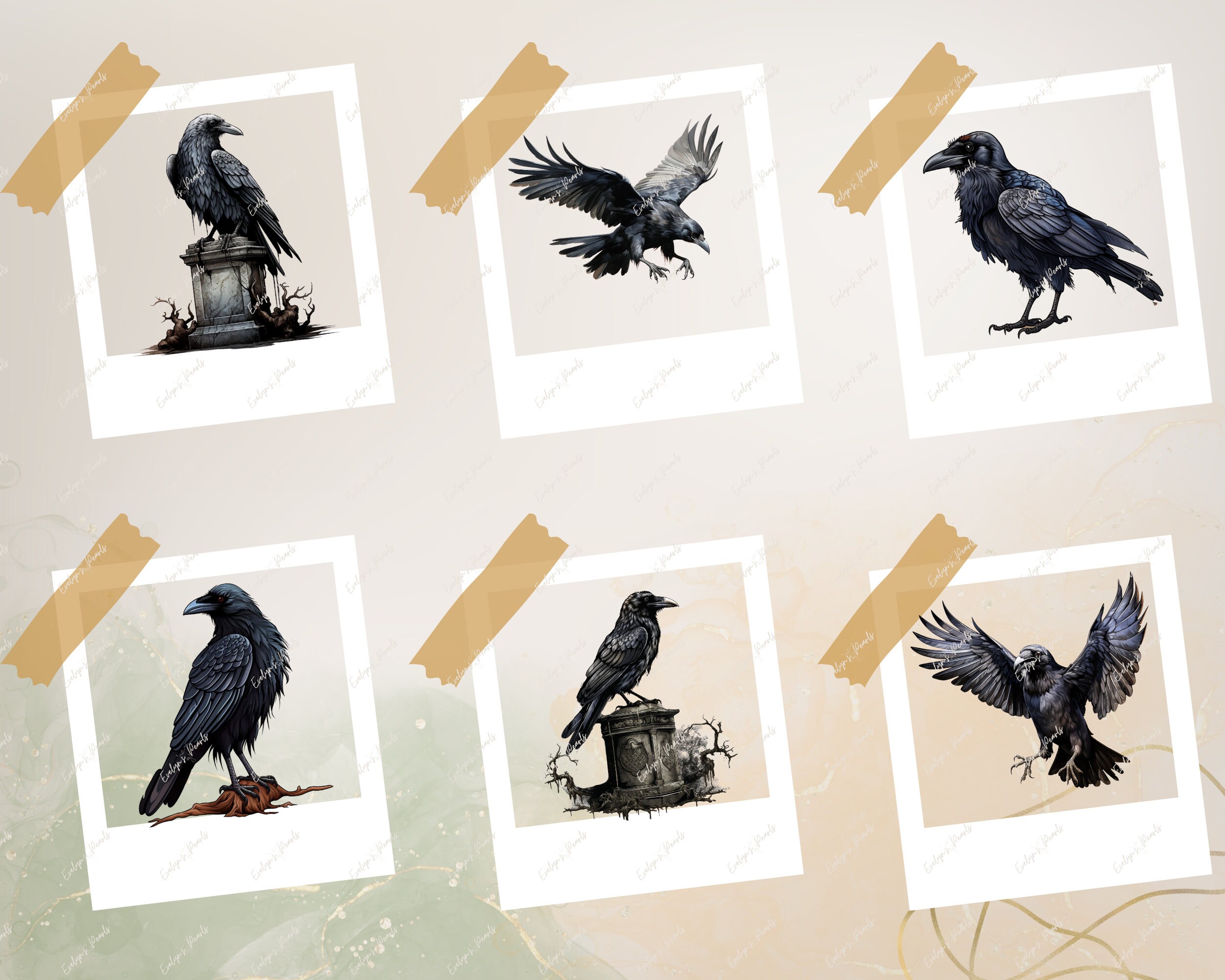 Raven Clipart Raven PNG Horror Clipart Scary Clipart Gothic PNG Birds ...