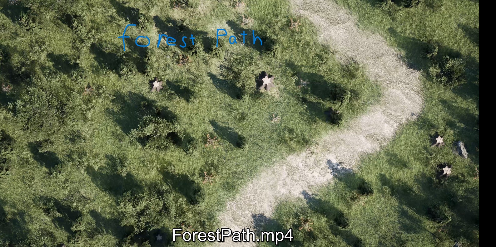 Forest Path Animated Battle Map Ultra HD - Etsy
