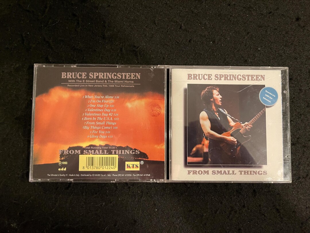 Bruce Springsteen-from Small Things - Etsy