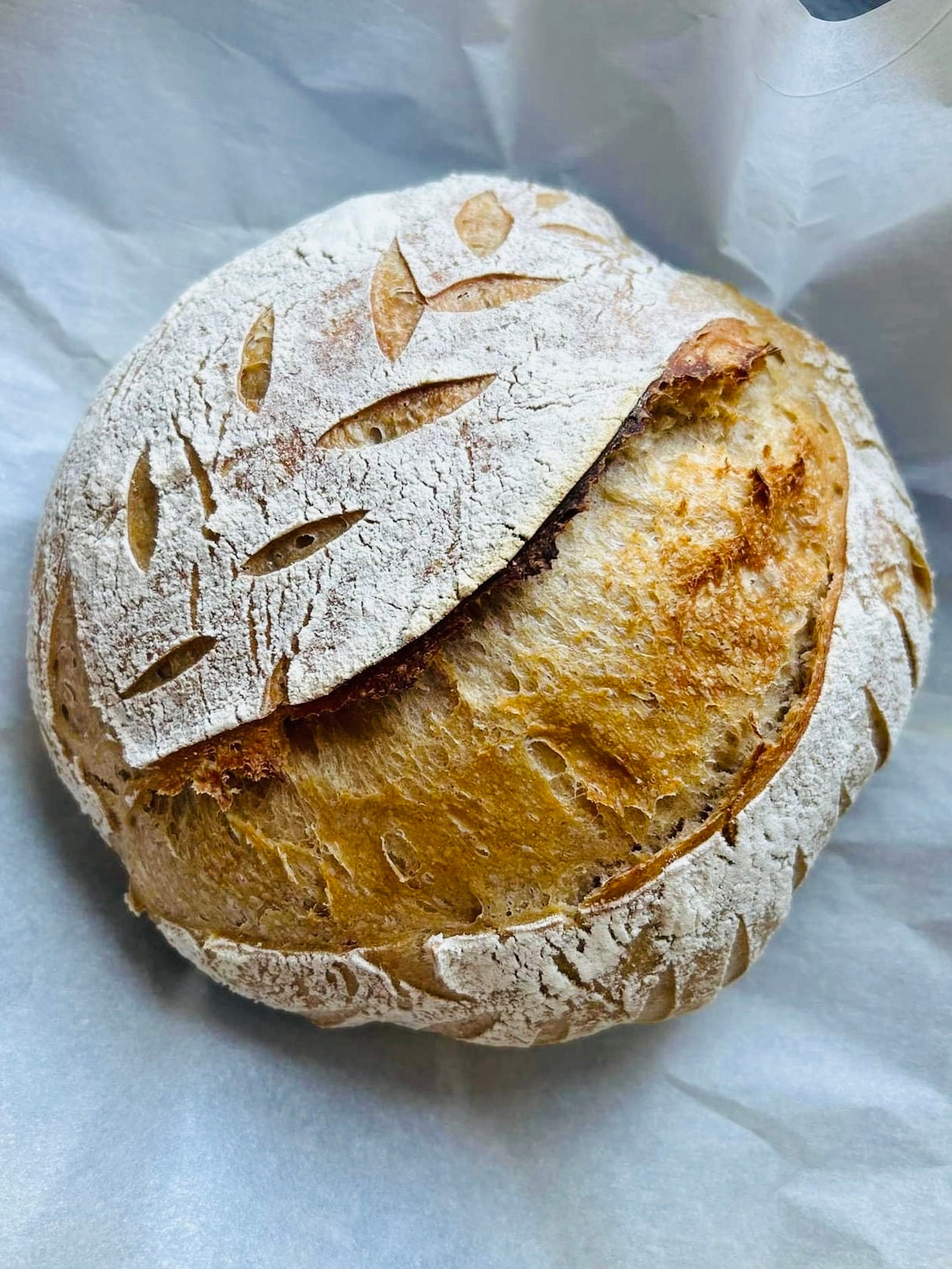 Old Hungarian Sourdough Starter - Etsy