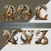 Dragon Alphabet Clipart: 26 Letter Set (digital Download) - Etsy