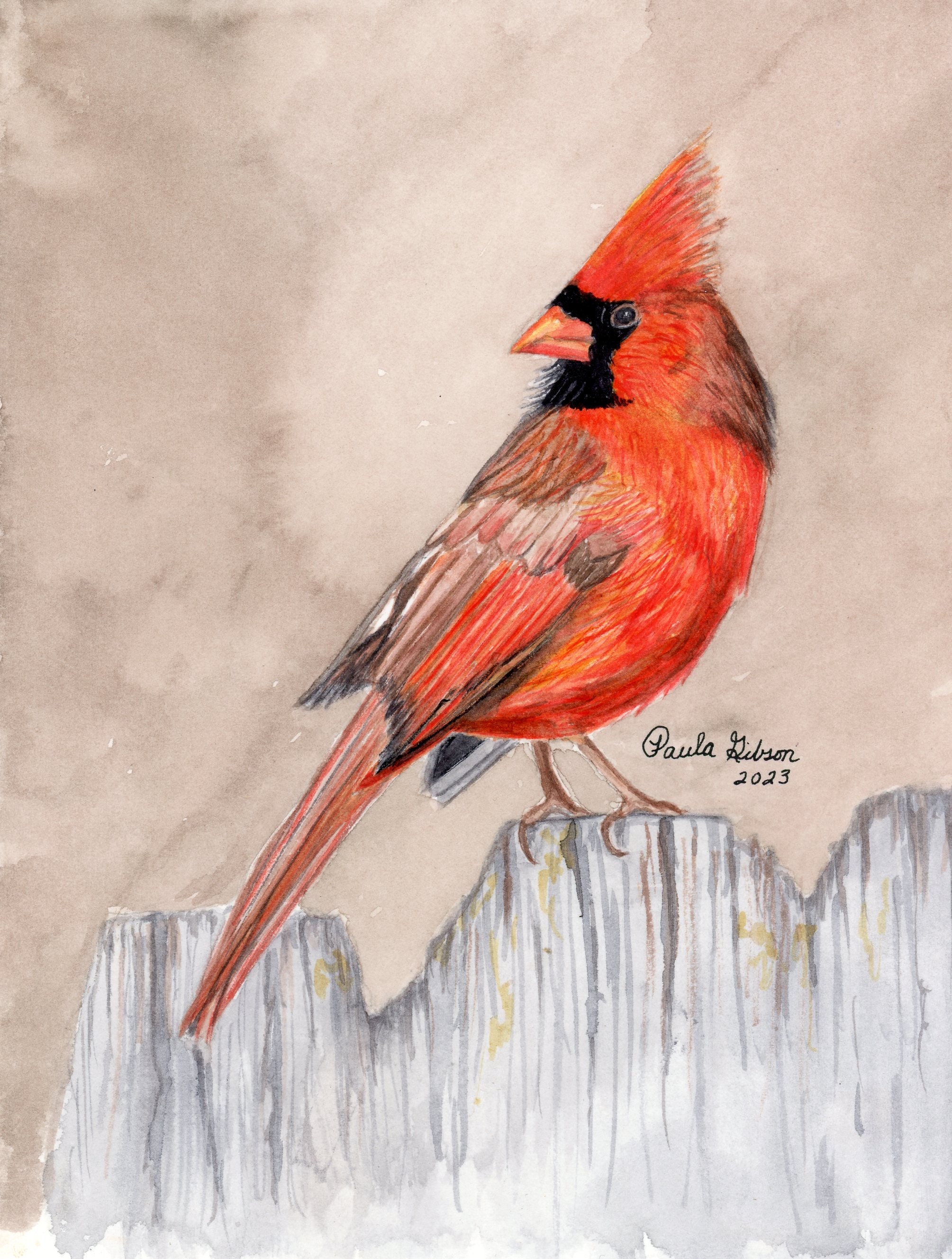 Set of 5 Red Cardinal Blank, Folded Greeting Cards With Envelopes - Etsy