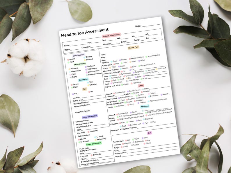 Head to Toe Assessment Template, Nurse Study Guides, Clinical Sheet ...