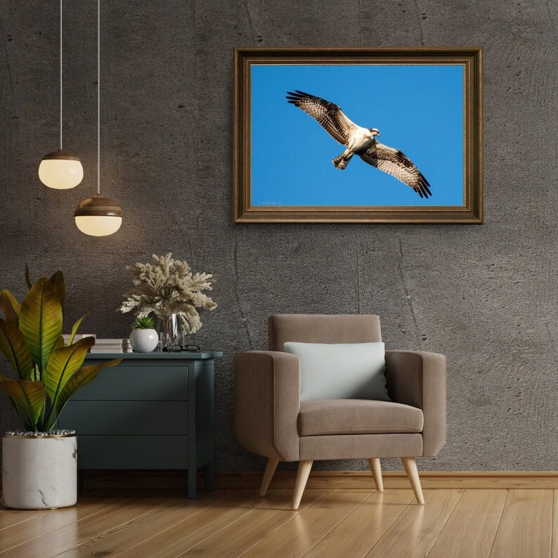 Instant Download Osprey Digital Print Nature Photography Home Decor ...
