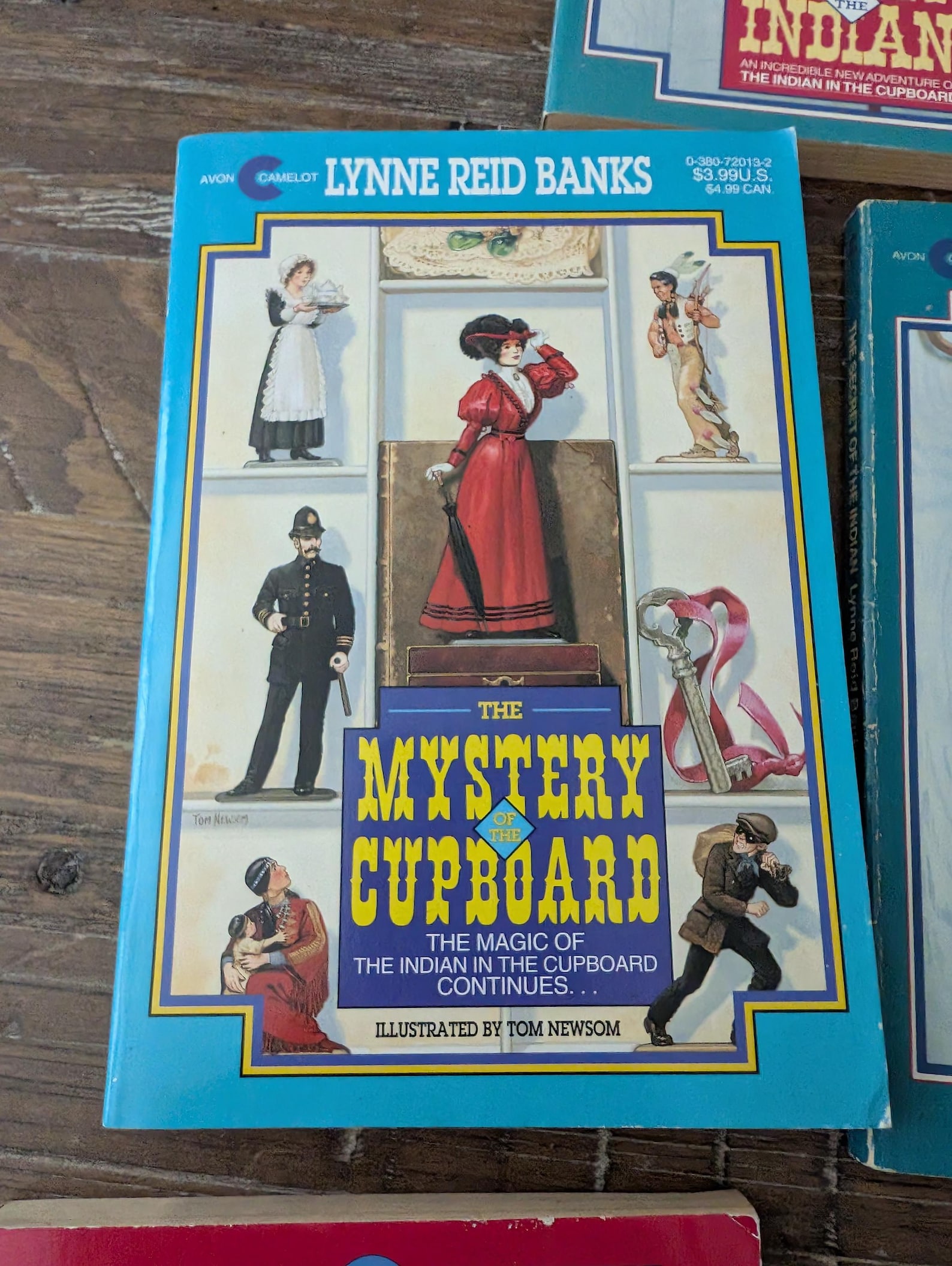 The Indian in the Cupboard Book Series // Your Choice! // Lynne Reid ...