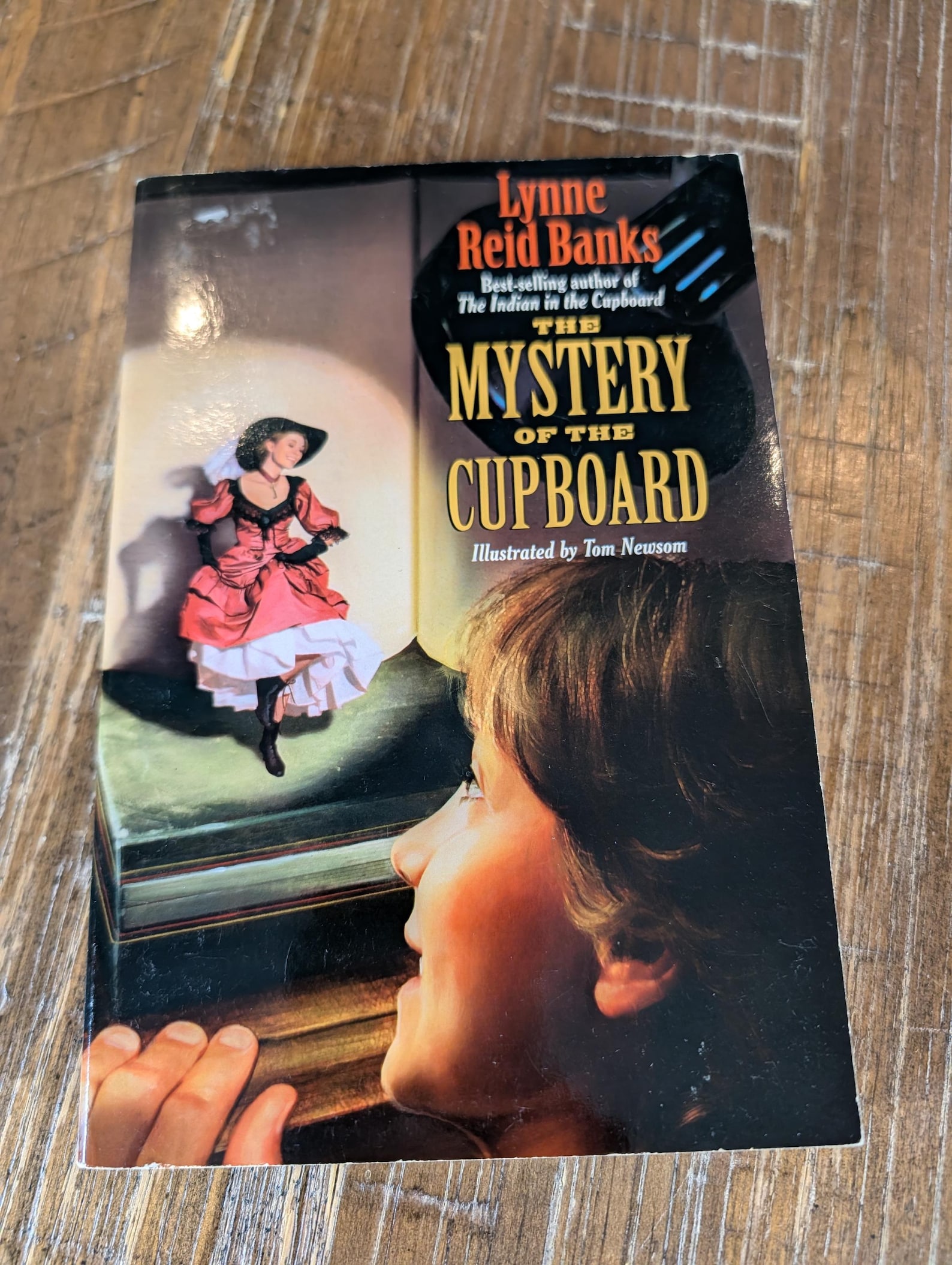 The Indian in the Cupboard Book Series // Your Choice! // Lynne Reid ...