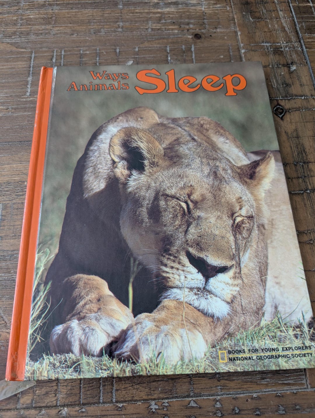 Ways Animals Sleep by Jane R. Mccauley, National Geographic Society ...