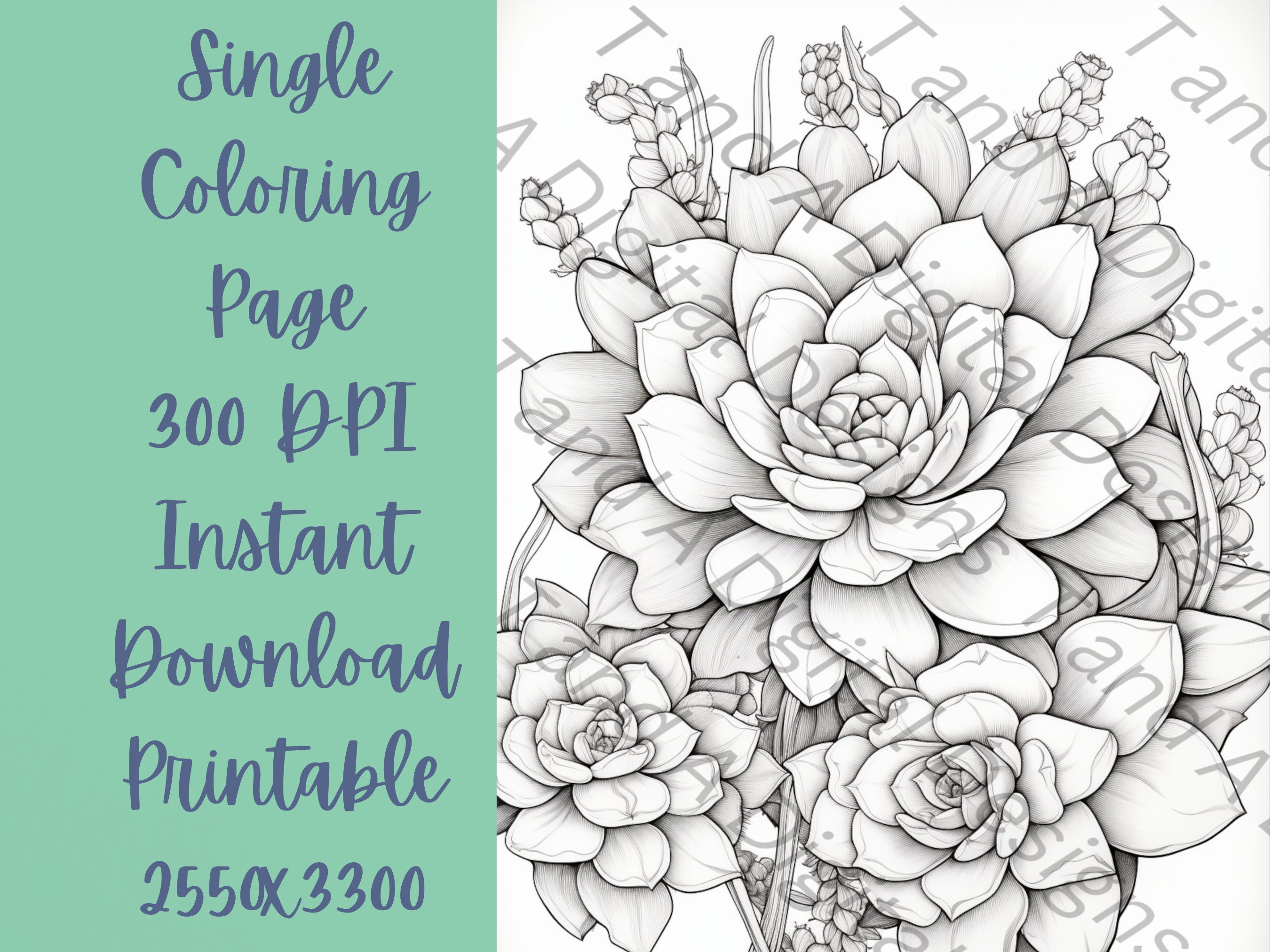Succulent Plant Coloring Page Instant Download, Relaxing Art Therapy ...
