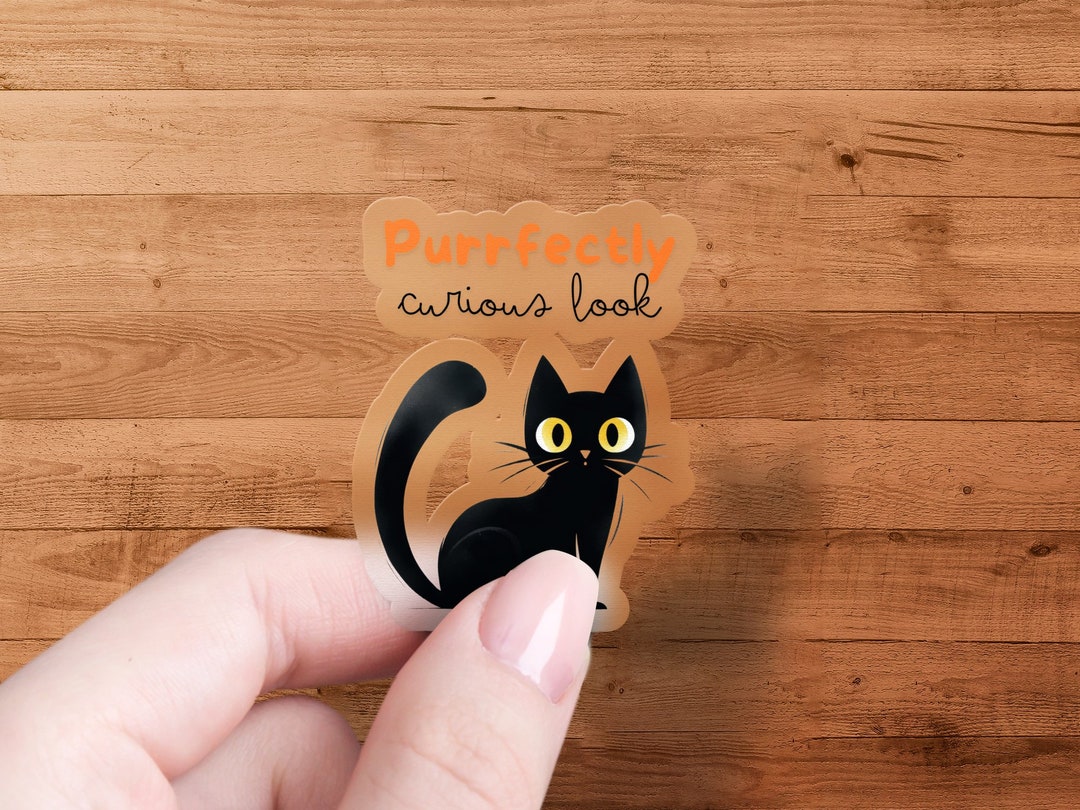 Purrfectly Curious Look Decal, Cute Black Cat Sticker, Adorable Cat ...