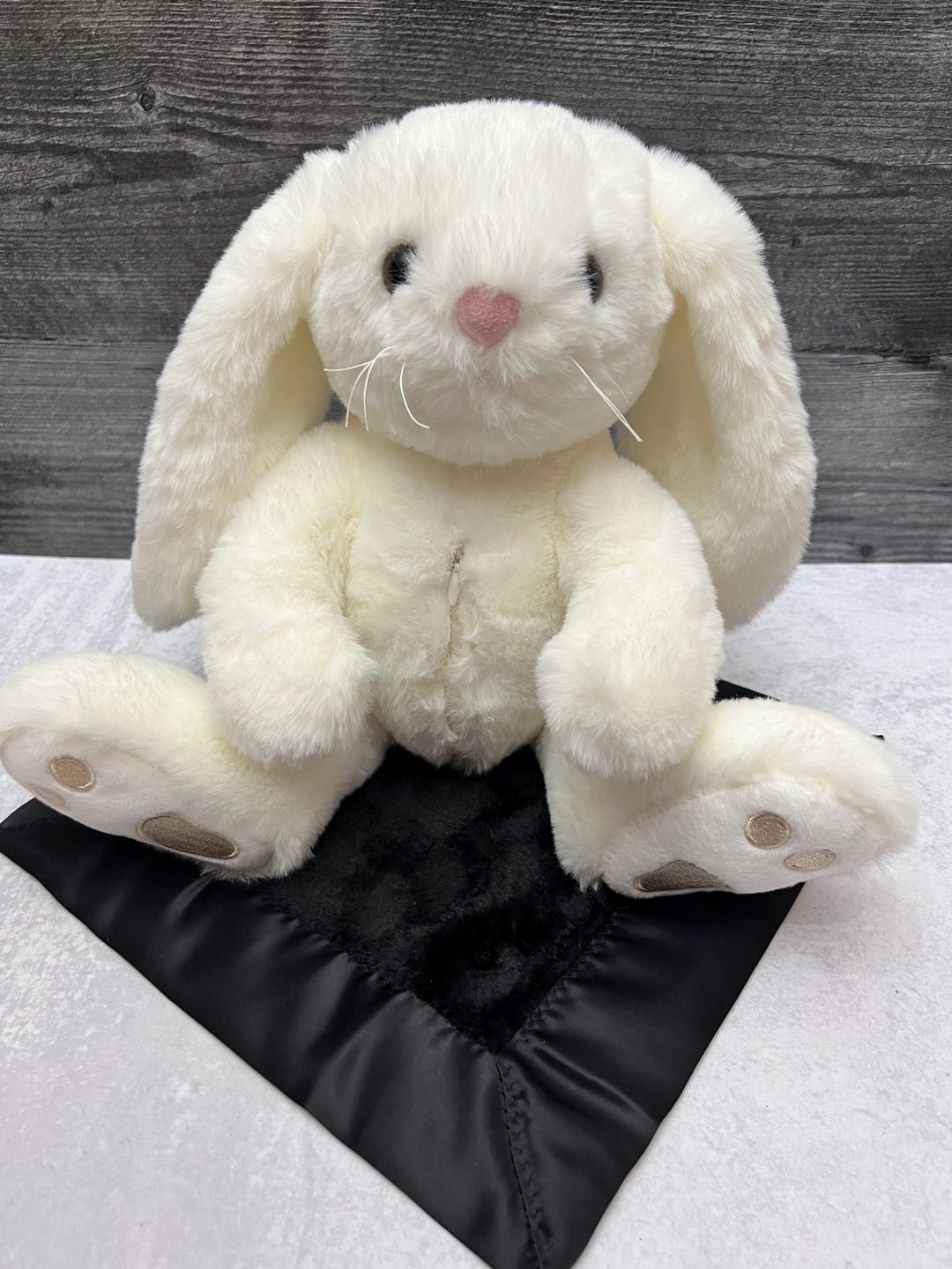 Deluxe Bunny Memory Keepsake Plush Gift Set - Etsy