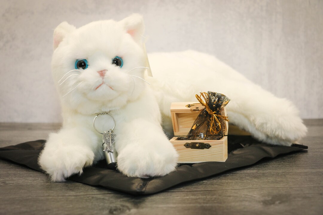 Luxury Cat Memory Keepsake Plush Gift Set - Etsy