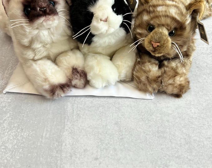 Realistic Black Plush Cat - Etsy