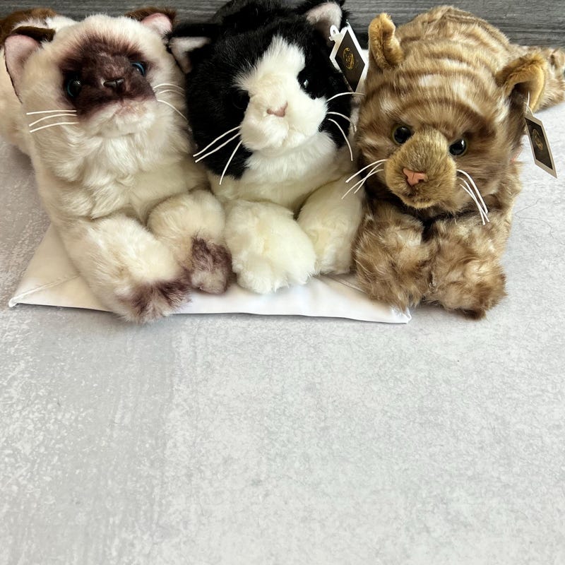 Realistic Stuffed Cat - Etsy