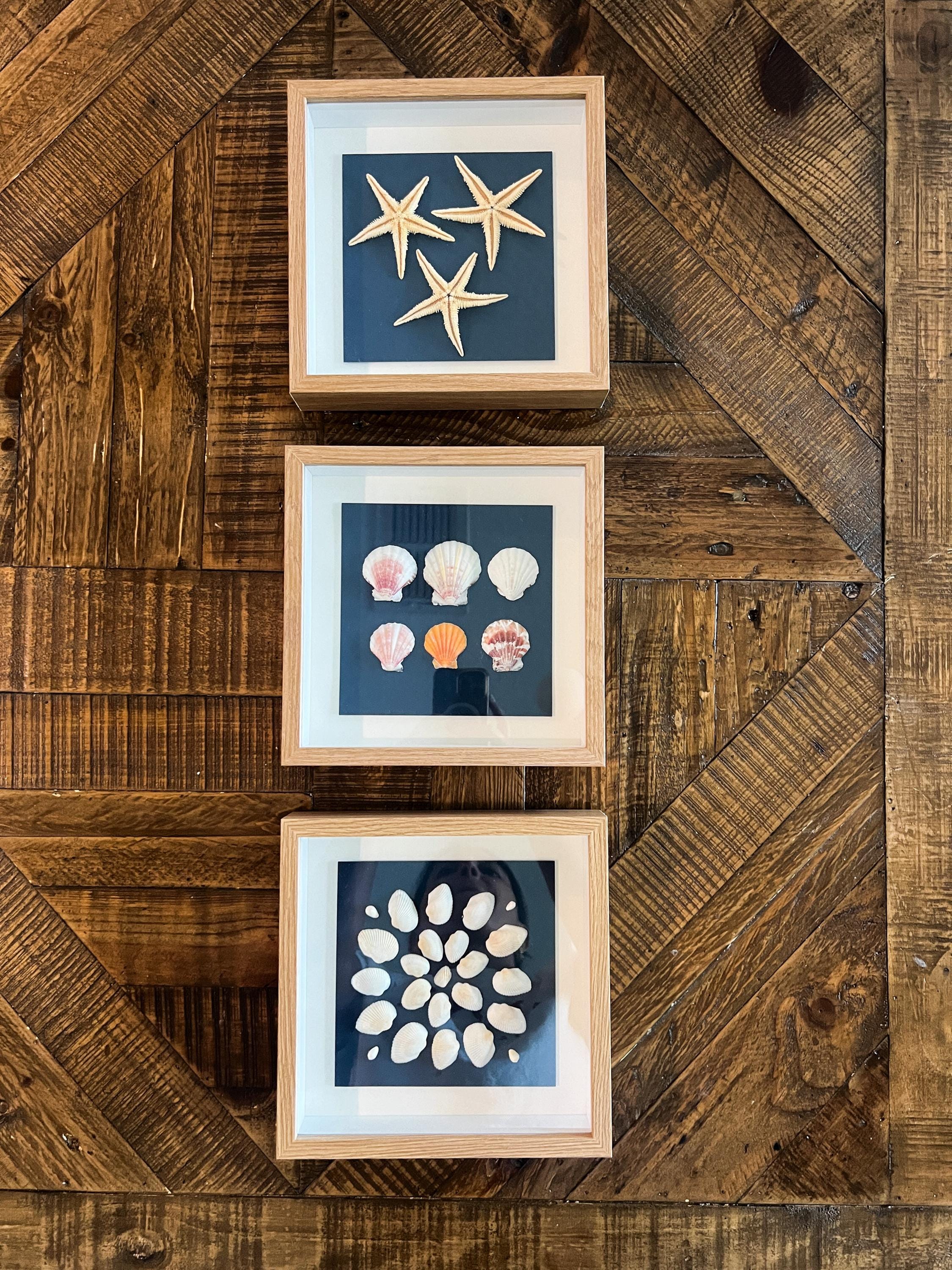 Seashell Wall Decor Frame. Coastal Art Shadowbox. Real Shell Art ...