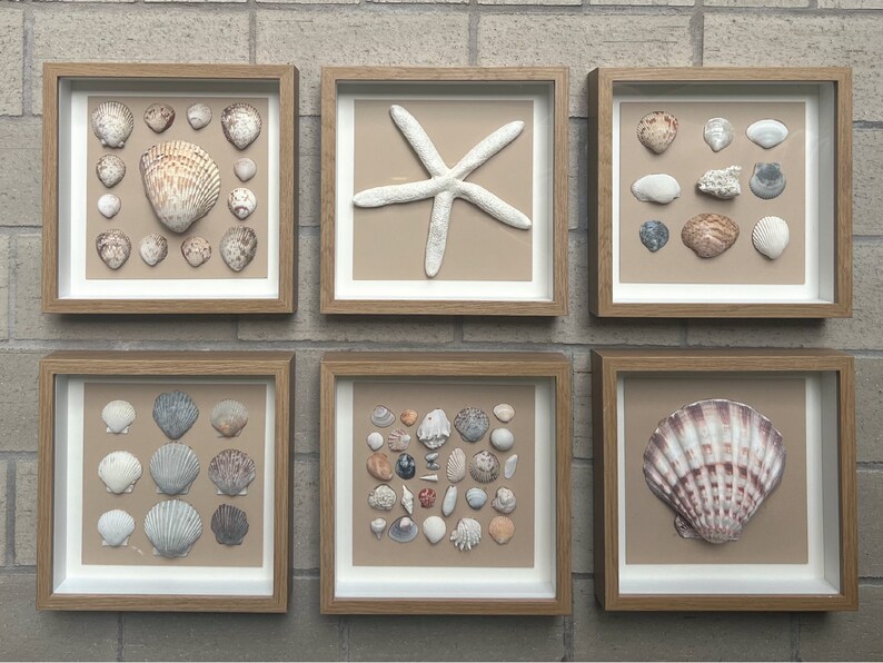 Seashell Wall Decor Frame. Coastal Art Shadowbox. Real Shell Art ...