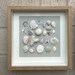 Set of 4 Framed in Shadowboxes Seashell Gallery Wall With Light Gray Background . Coastal ...