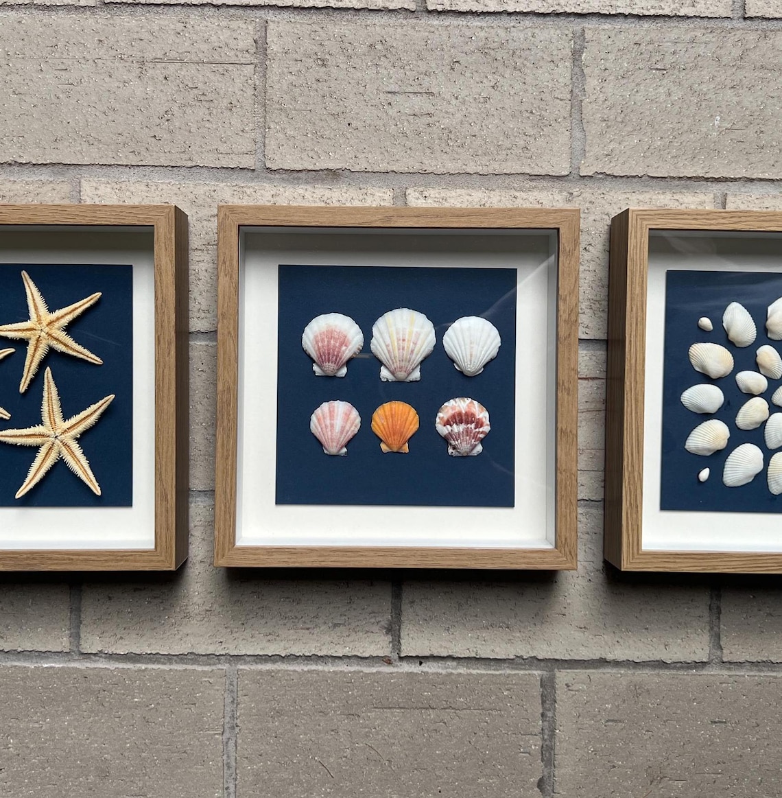 Seashell Wall Decor Frame. Coastal Art Shadowbox. Real Shell Art ...