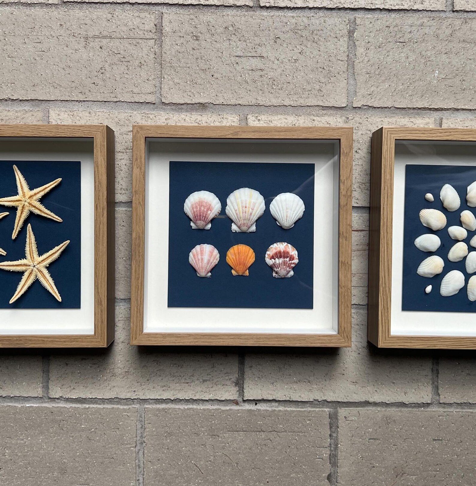Seashell Wall Decor Frame. Coastal Art Shadowbox. Real Shell Art ...