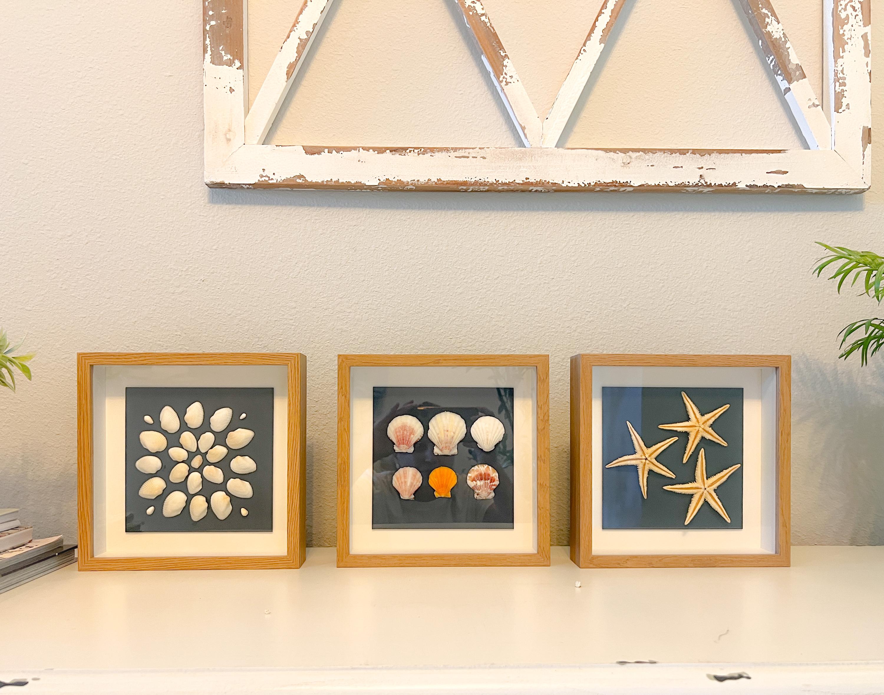 Seashell Wall Decor Frame. Coastal Art Shadowbox. Real Shell Art ...