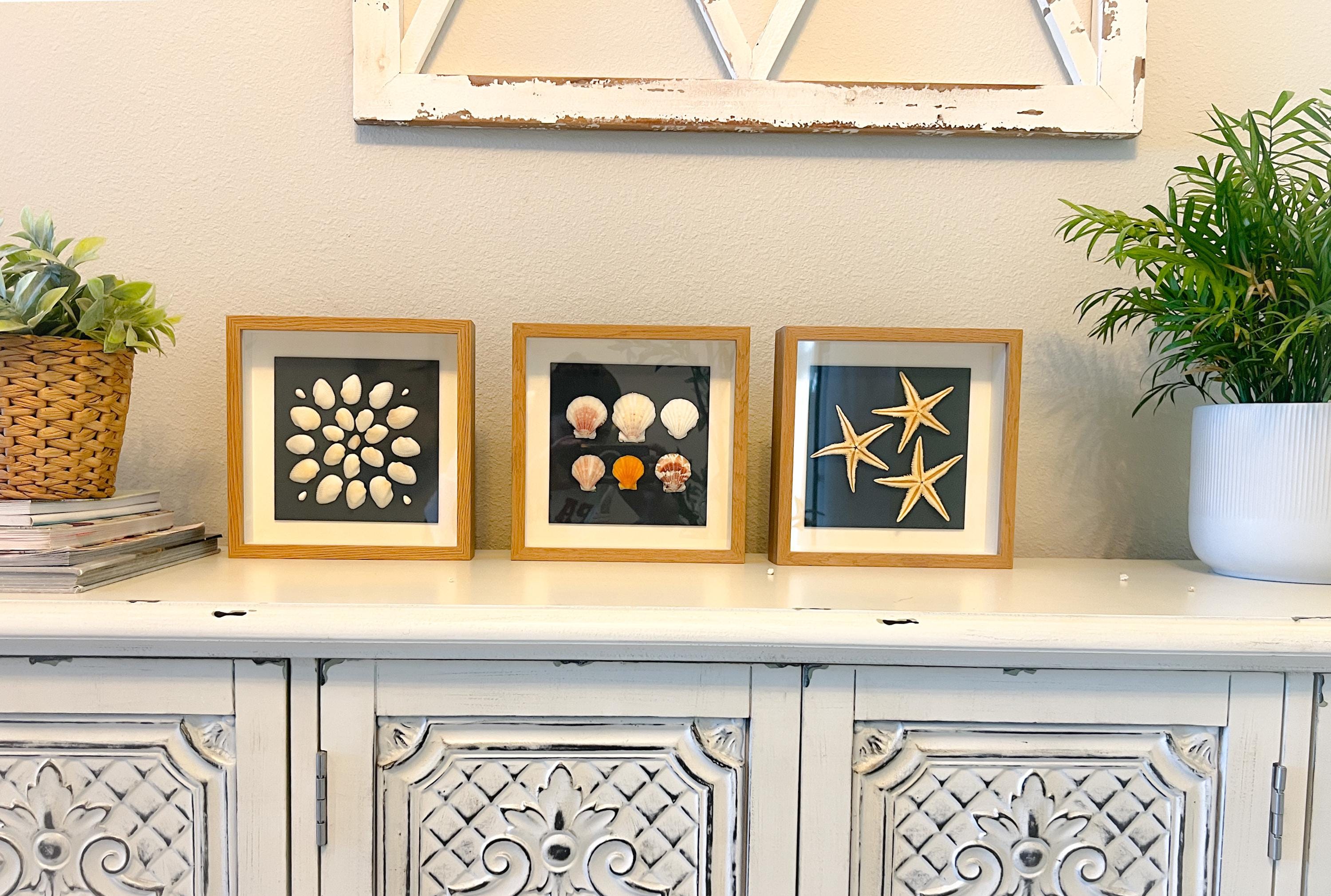 Seashell Wall Decor Frame. Coastal Art Shadowbox. Real Shell Art ...