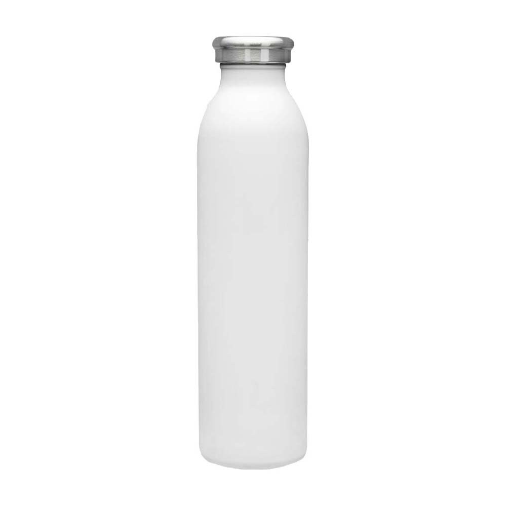 Disney Themed Posh Stainless Steel Water Bottle, 20 Oz, Screw on Cap - Etsy