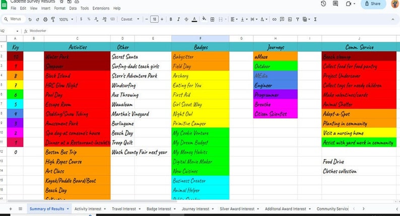 Girl Scout Cadette Survey Tabulator - Etsy