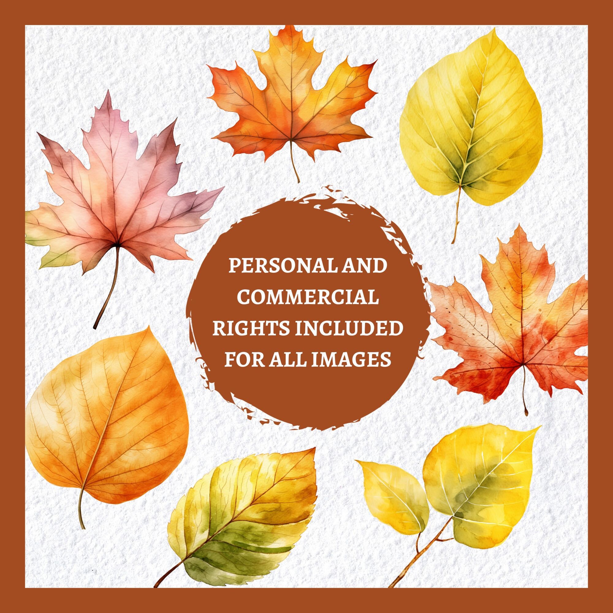 Watercolor Fall Leaves Clipart Fall Leaves Water Color Clip Art ...