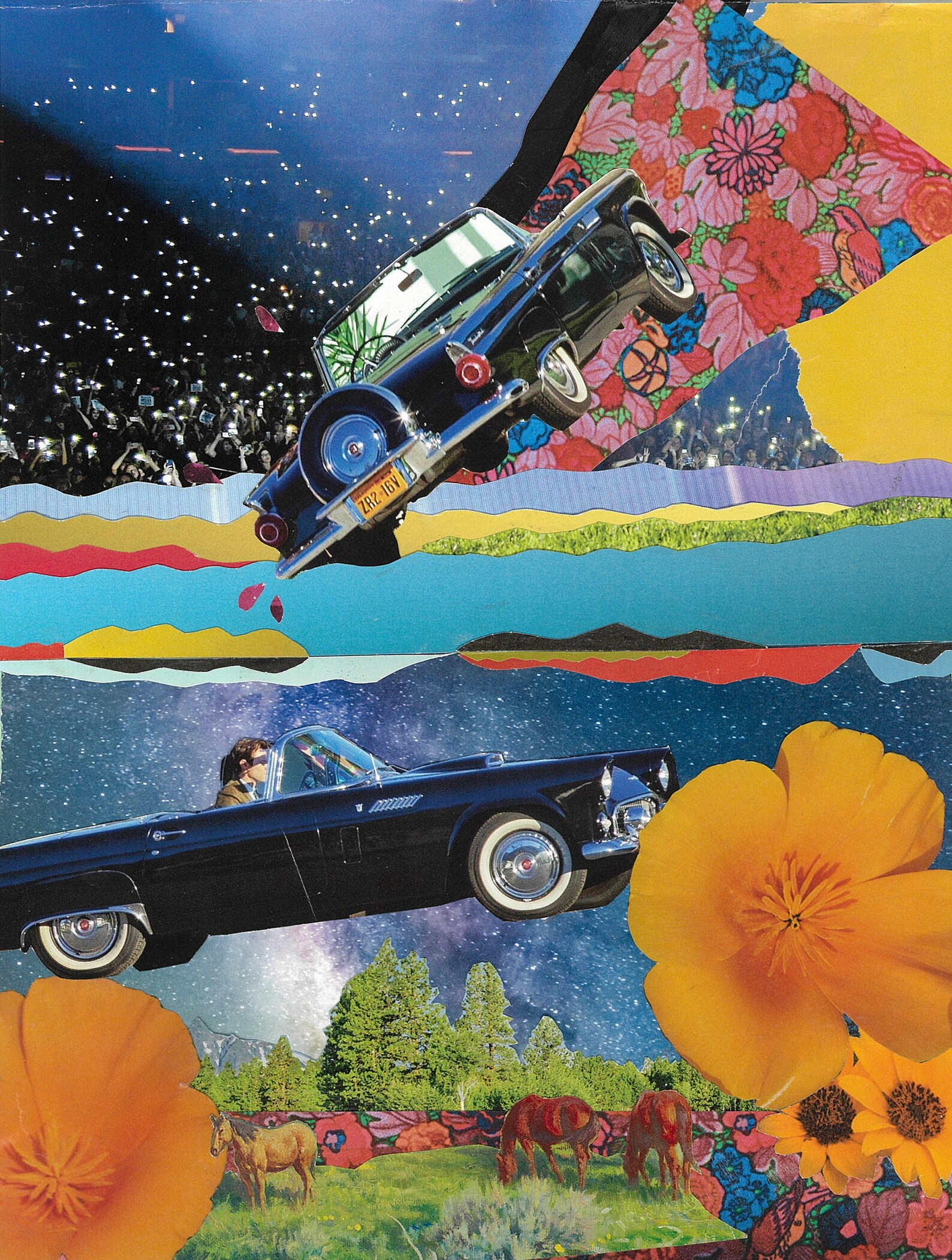 Cars & California Poppy Collage Print - Etsy
