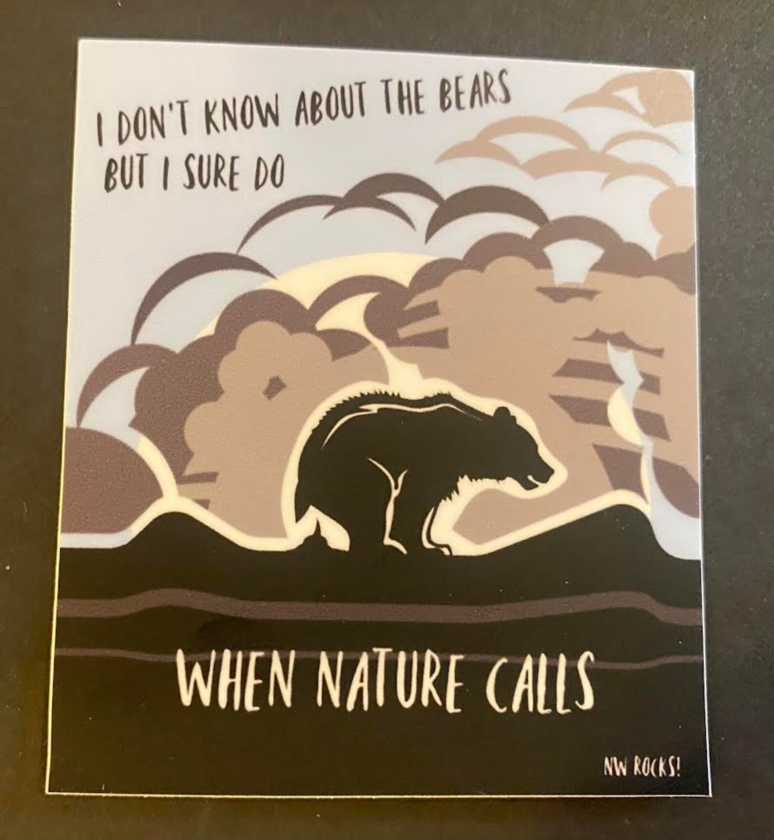 NW ROCKS! Bear Pooping in Woods Sticker | Pacific Northwest | Funny ...