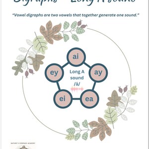 Long A Vowel Digraph Diphthong Poster and Worksheet ai Ay - Etsy