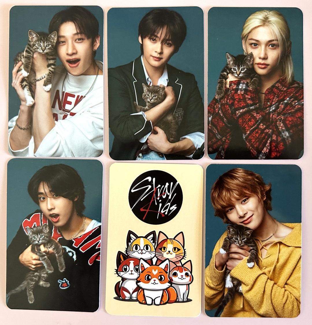 Stray Kids Buzzfeed Cat Interview Fanmade Photocards - Etsy