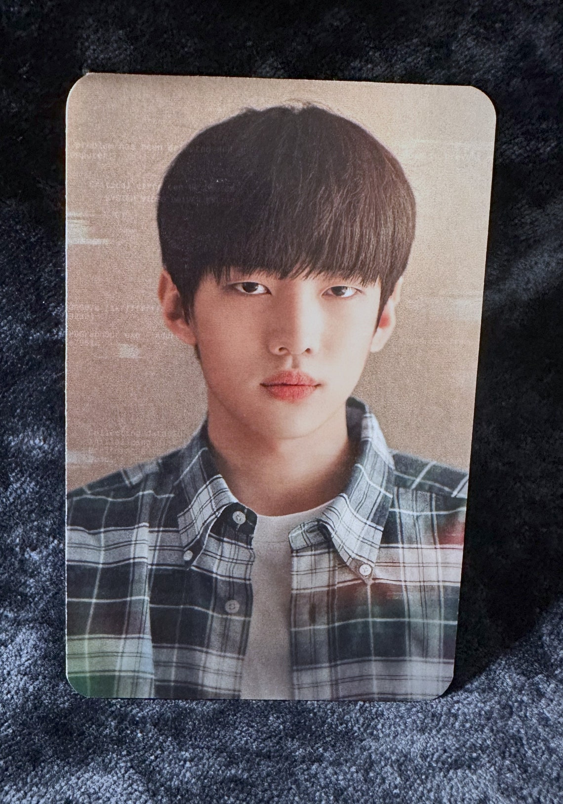 Semantic Error the Series Unofficial Fan Made Photocards - Etsy