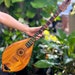 Acoustic Traditional Thai Phin (isan Lute) – 3-string Handmade Wooden ...