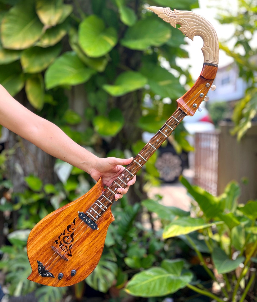 Acoustic Electric Thai Asian Guitar 3 Strings, Isarn Mandolin Musical ...