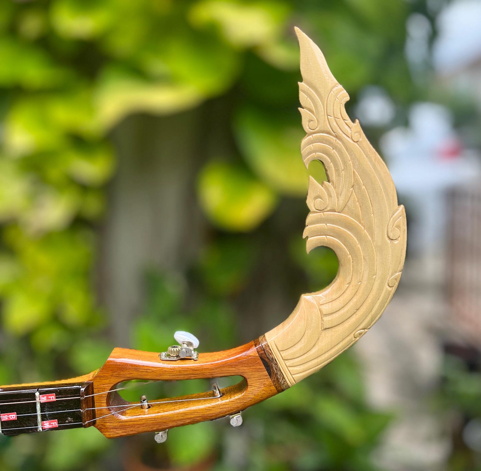 Acoustic Thai Asian Guitar 3 Strings, Isan Mandolin Musical Instrument ...